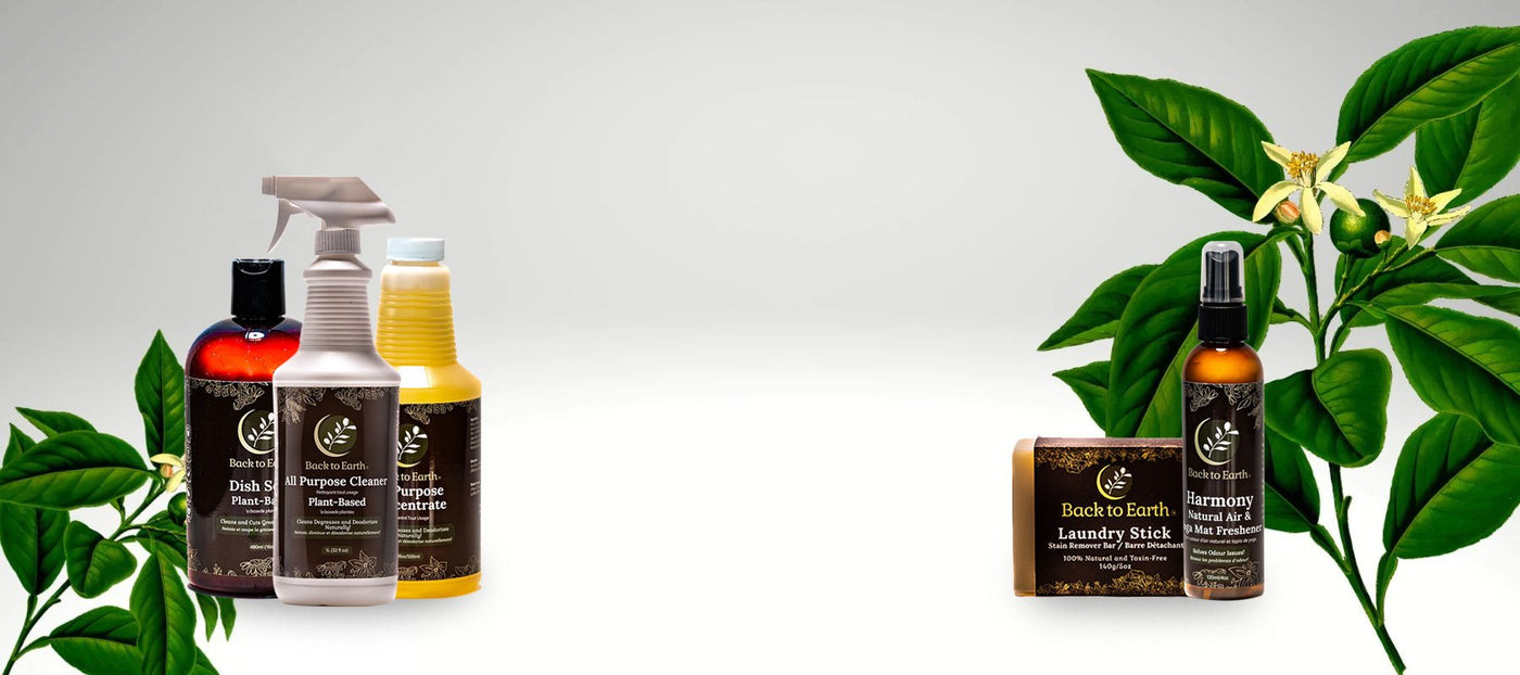 All Purpose Cleaner Concentrate | Non-Toxic | #getbacktoearth - Back To ...