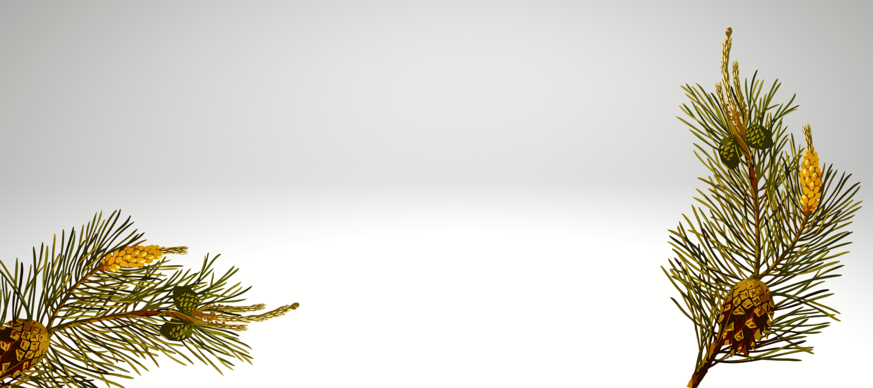 FAQ's - Back To Earth