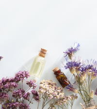 Back to Earth - Clean, Raw, Plantbased - Naturally