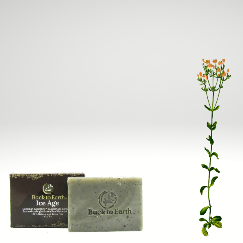 Back to Earth - Clean, Raw, Plantbased - Naturally