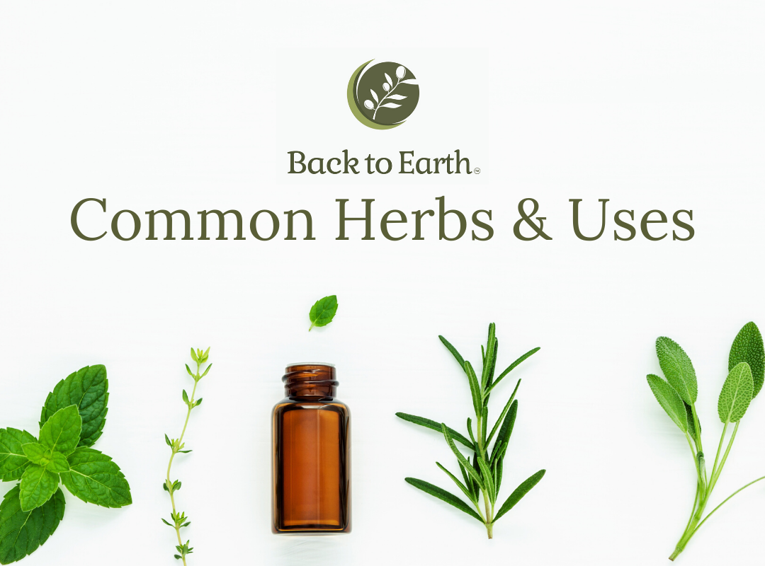 Herb Book Entry - Back To Earth
